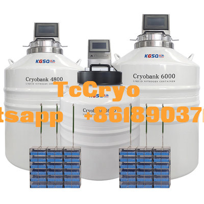 South Korea-vapour phase liquid nitrogen tank-nitogen tank