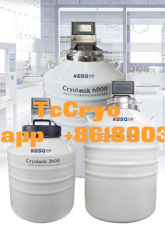Kenya cryobank 6000 liquid nitrogen tank KGSQ small gas-liquid phase tank dual-mode cell storage