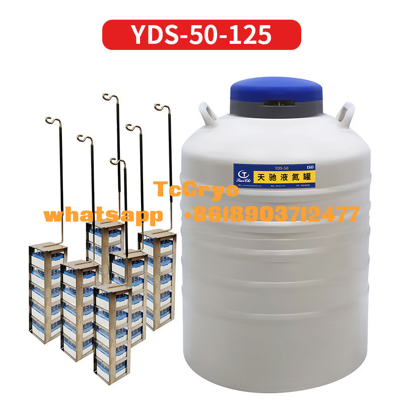 Mauritania liquid nitrogen tank for cell storage KGSQ Cryogenic container YDS-50-125