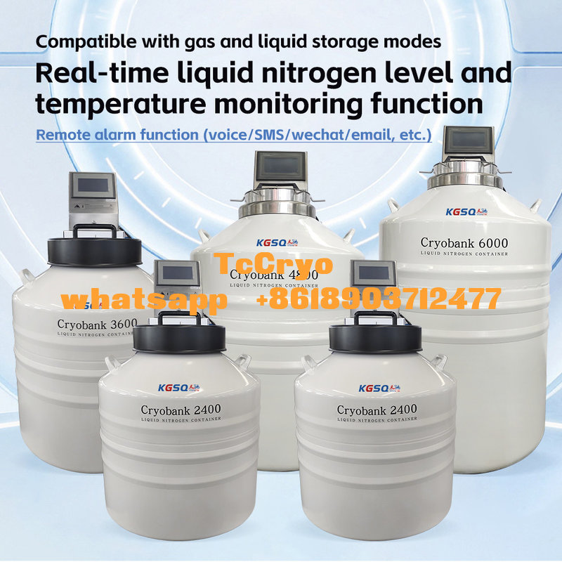 Cyprus small gas liquid phase liquid nitrogen tank YDS-65 biocontainer manufacturer KGSQ