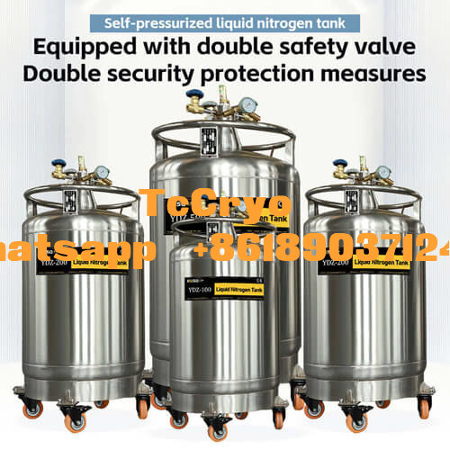 Czech Republic liquid nitrogen supply tank KGSQ dewar 100L for N2 self pressured