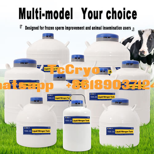 Bulgaria-liquid nitrogen tank cell storage-YDS-47 liquid nitrogen cryogenic tank