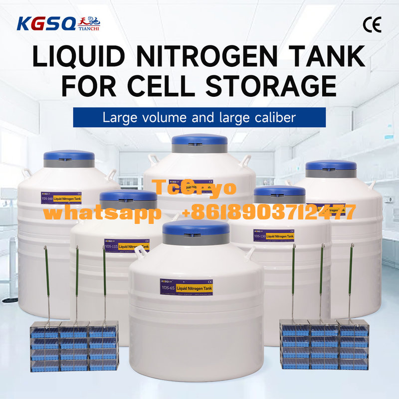 Saudi Arabia-liquid nitrogen cell storage tank-dewar flask liquid nitrogen container