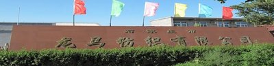 Shijiazhuang Bibante Trading Co., Ltd