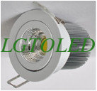 COB 30W Led Ceiling Light