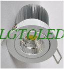 COB 30W Led Ceiling Light