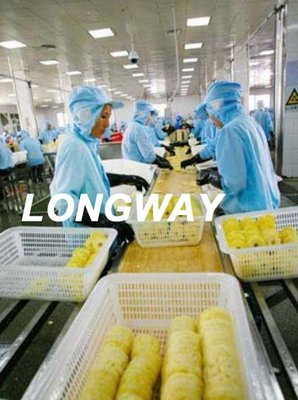 Fresh Fruit Juice Production Line/Complete Filling Plant