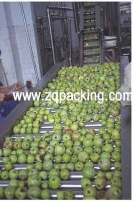 Automatic Juice Bottling Line