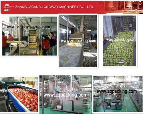CE certificated automatic juice beverage production line, turnkey juice plant project, tea drink bottling equipment