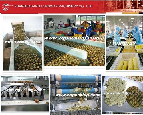 2015 Automatic 3 in 1 Fruit Juice Production Line