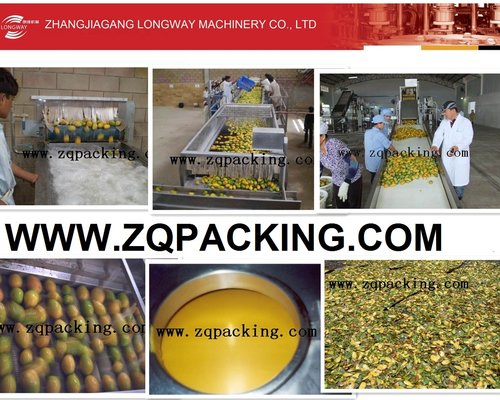 pineapple juice production line