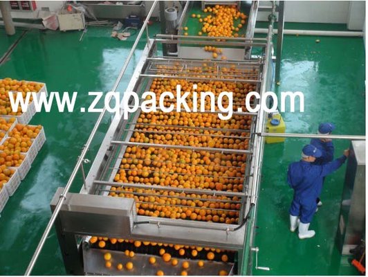 orange juice production line