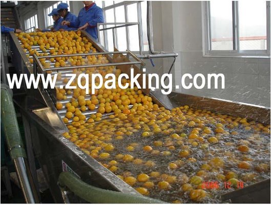 natural juice production line