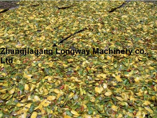 mango juice production line