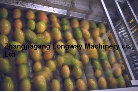 mango juice production line