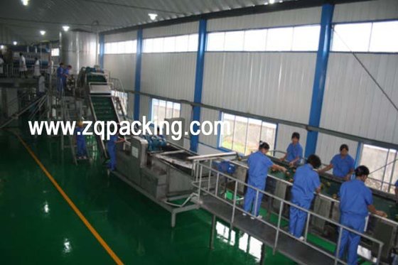 apple juice concentrate production line