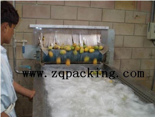 Hot export mango juice filling equipment