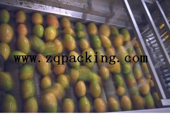 Hot export mango juice filling equipment