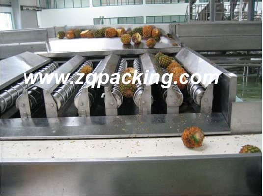 Hot export mini juice production line