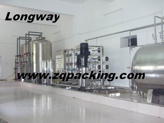 5T/H Pure Water Making Machine with RO