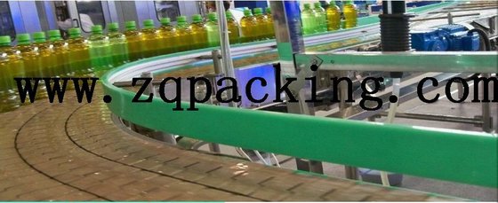 Filled Bottles Conveyor System
