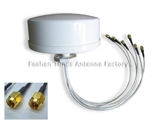 Dual Band Omni Mimo Antenna , Mimo Omnidirectional Antenna Customized Connector