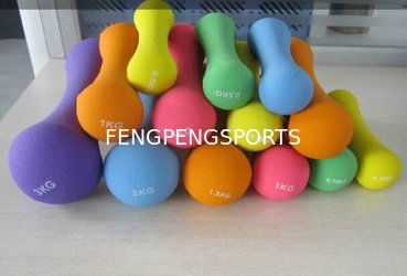 Laiwu Fengpeng Sports Company