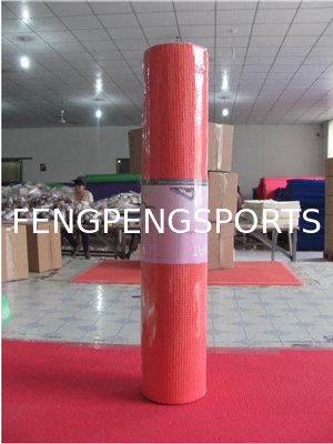 6mm Washable yoga pad /yoga mat for sale from China