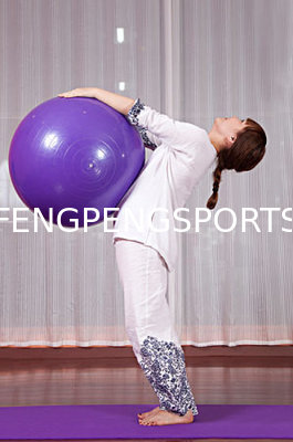 PVC Yoga Ball for trainers Premium gymnastic yoga exercise ball fitness ball