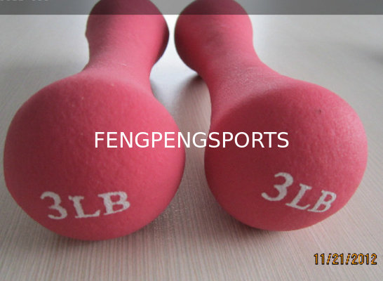 colorful bone neoprene dumbbell from 1kg2 kg 1.5 lbs 3 kg for women home use dumbell