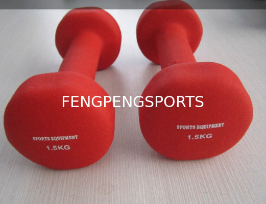 High-grade quality scrub dumbbells ladies fitness dumbbells，small weight dumbell for women use