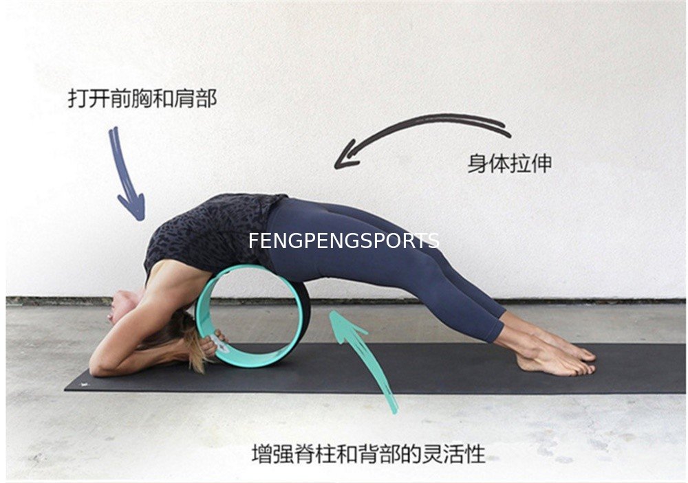 yoga wheel ABS/TPE yoga wheel for trainer Balance training gym exercise