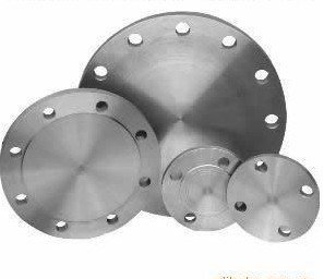 WN or SO GR2/GR12/SS Titanium Forging Flange for industrial use