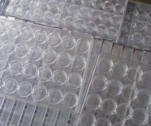 Chocolate Polycarbonate moulds