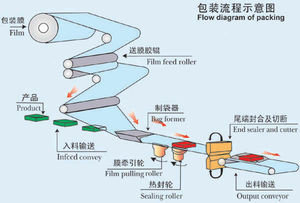 Automatic Flow Packing Machine