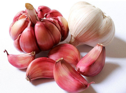 China 4.5cm Normal White Garlic supplier