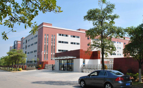 China Jining Rich Farmer International Trade Co., Ltd. — China Garlic Price supplier