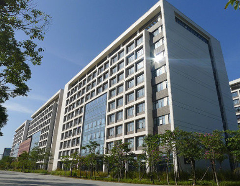 China Jining Optimum Fruits & Vegetables Co., Ltd. — China Garlic Price supplier