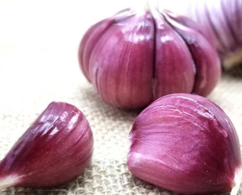 5.0cm Normal White Garlic supplier