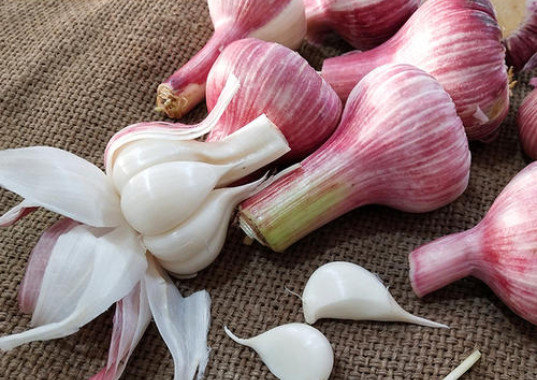 5.0cm Normal White Garlic supplier