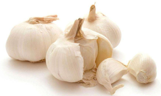 Goodfarmer food holding (group) Co. Ltd — China Garlic Price supplier