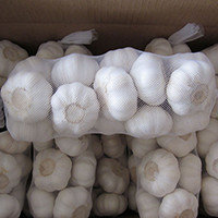 The New Garlic Is About to Go on The Market supplier