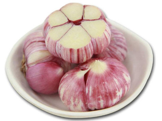 October 19 2019 stock-China Garlic Price 2019 supplier