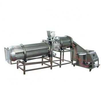 snacks frying machine supplier