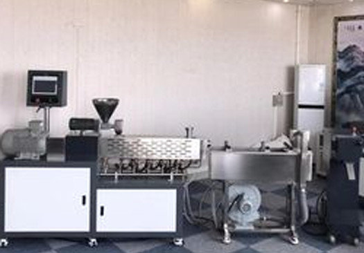 Double Screw Snack Food Processing Line supplier