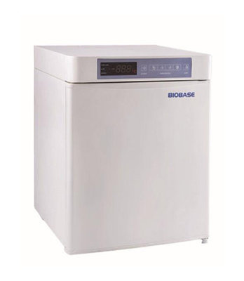 Single Door Medical Refrigerator with Foam Door or Glass Door