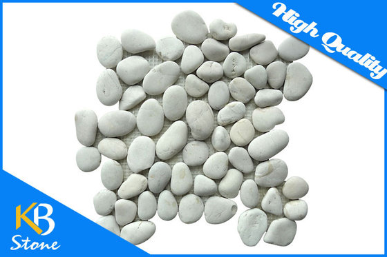 Irregular Shape White Pebble Stone Mosaic Tiles Meshed On 12" x 12" Kitchen Mosaic Tiles