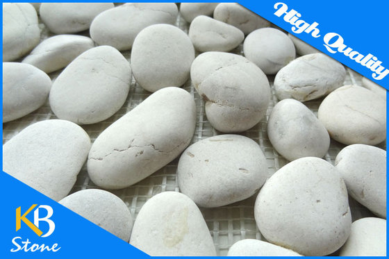 Irregular Shape White Pebble Stone Mosaic Tiles Meshed On 12" x 12" Kitchen Mosaic Tiles