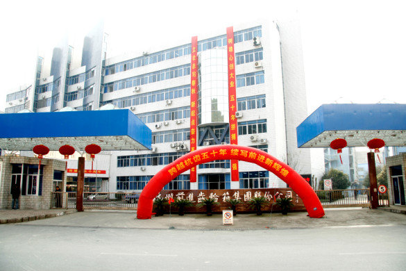 China Hangzhou Advance Gearbox Group Co.,Ltd. company profile