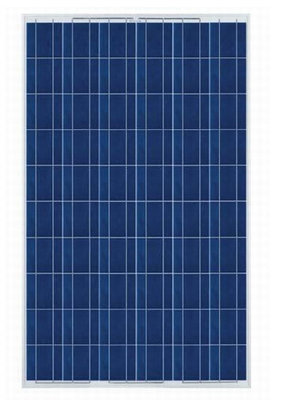 300W  Poly Silicon Custom Solar Panels Residential High Strength